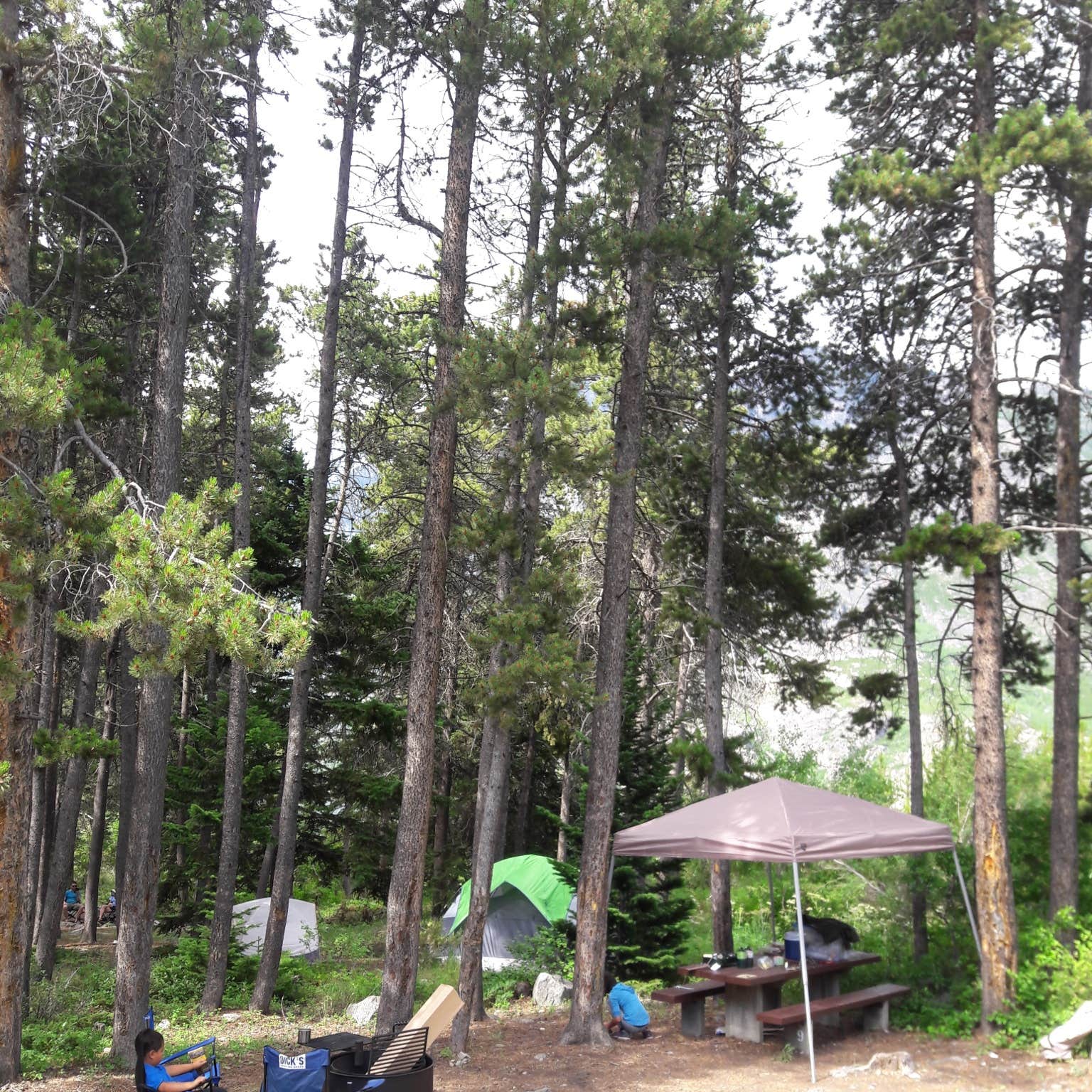 East Rosebud Campground Camping | The Dyrt