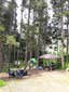 East Rosebud Campground Camping | The Dyrt