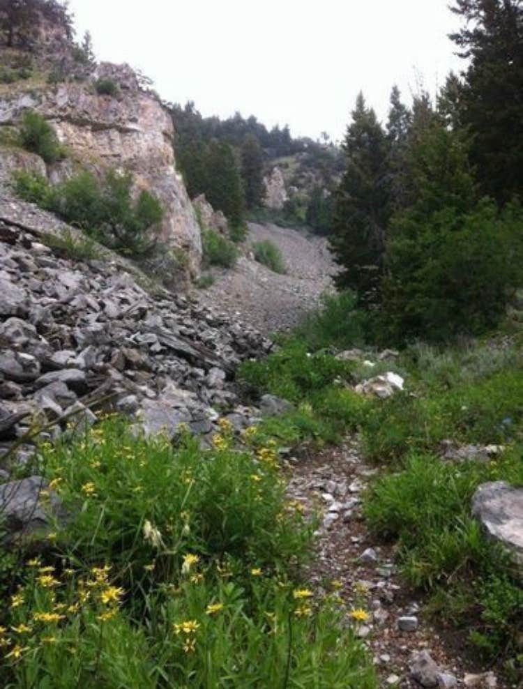 Hoback Campground - Bridger Teton National Forest | Hoback, WY