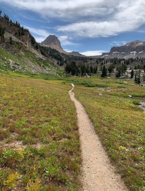 Hoback River Area | The Dyrt
