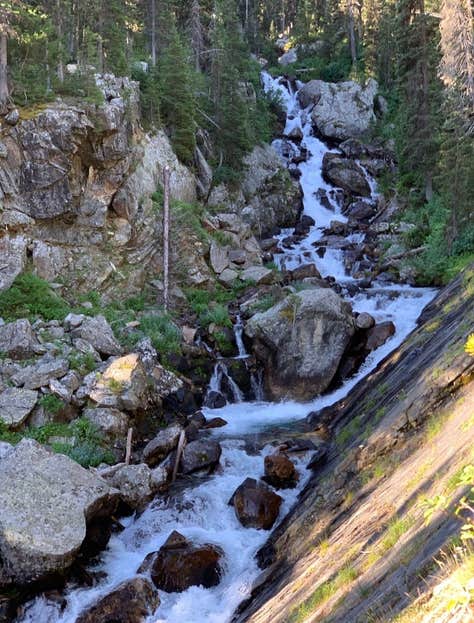 Hoback River Area | The Dyrt