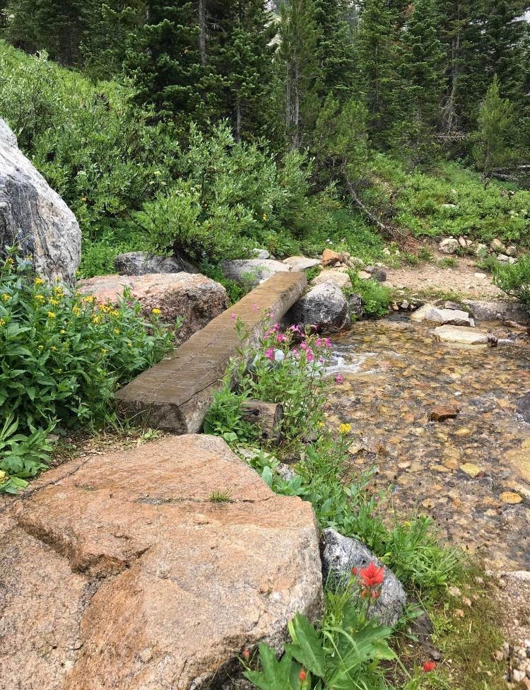 Hoback Campground - Bridger Teton National Forest | Hoback, WY
