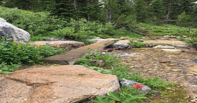 Hoback Campground - Bridger Teton National Forest | Hoback, WY
