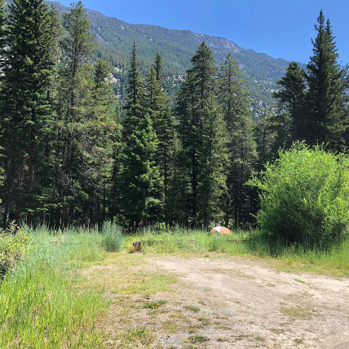 Falls Creek Camping | The Dyrt