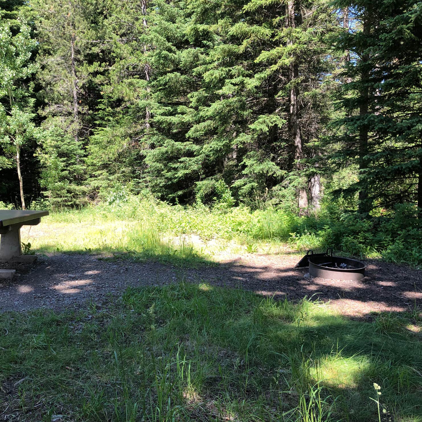 Falls Creek Camping | The Dyrt