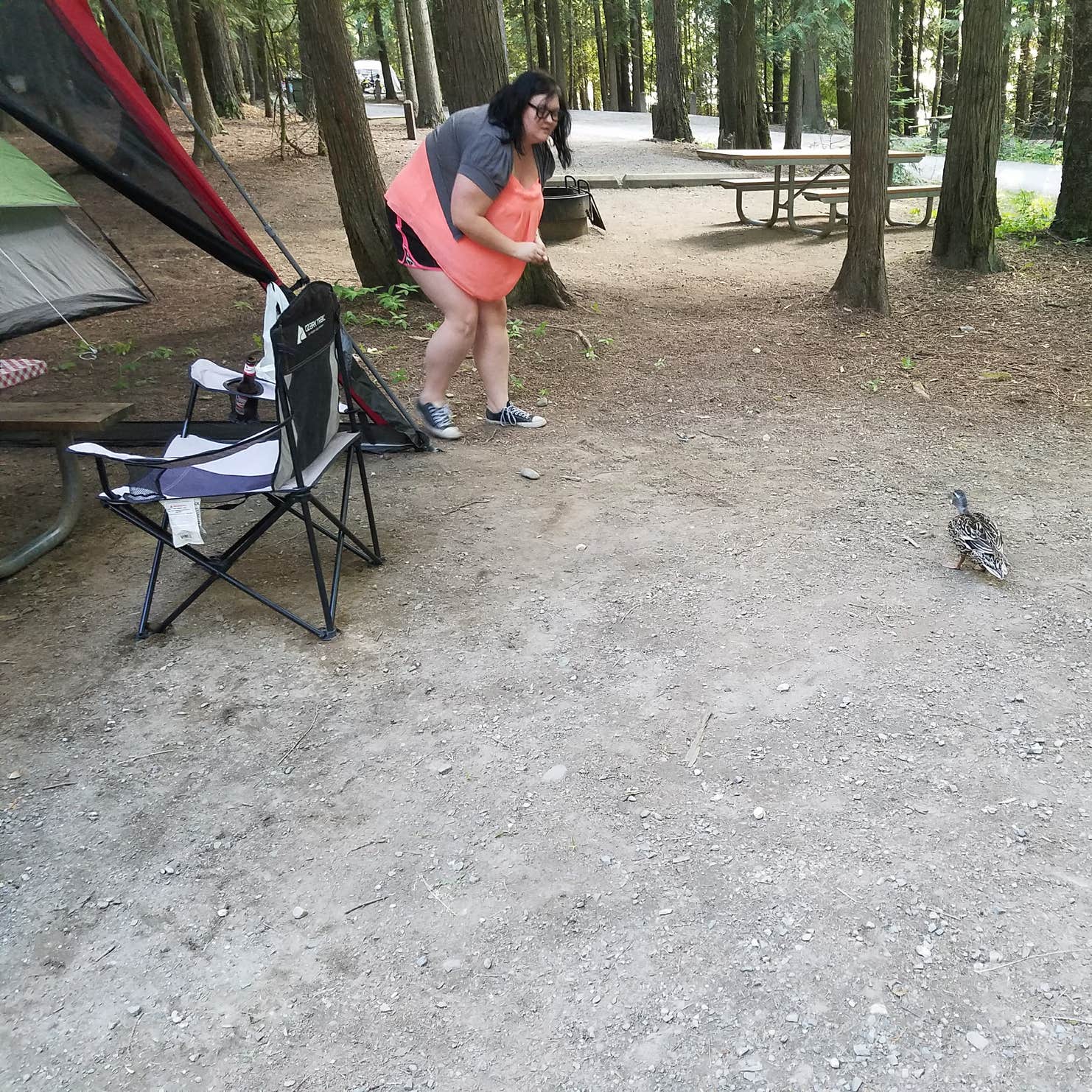 Springy Point Camping | The Dyrt