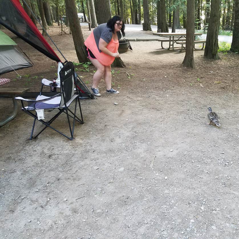 Springy Point Camping | The Dyrt