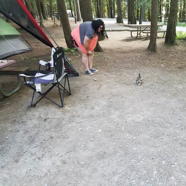 Springy Point Camping | The Dyrt