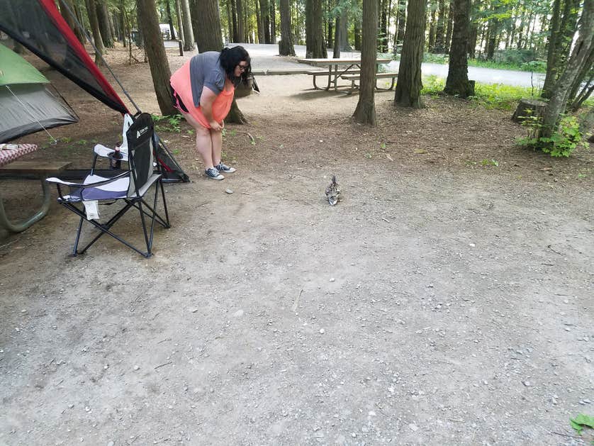 Springy Point Camping | The Dyrt