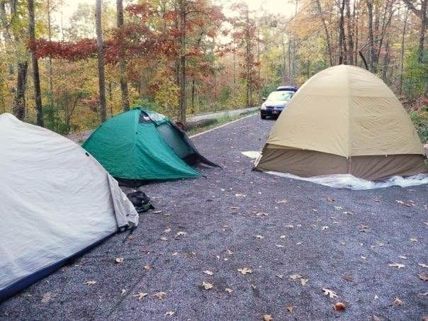Chilhowee Recreation Area Camping | Benton, Tennessee