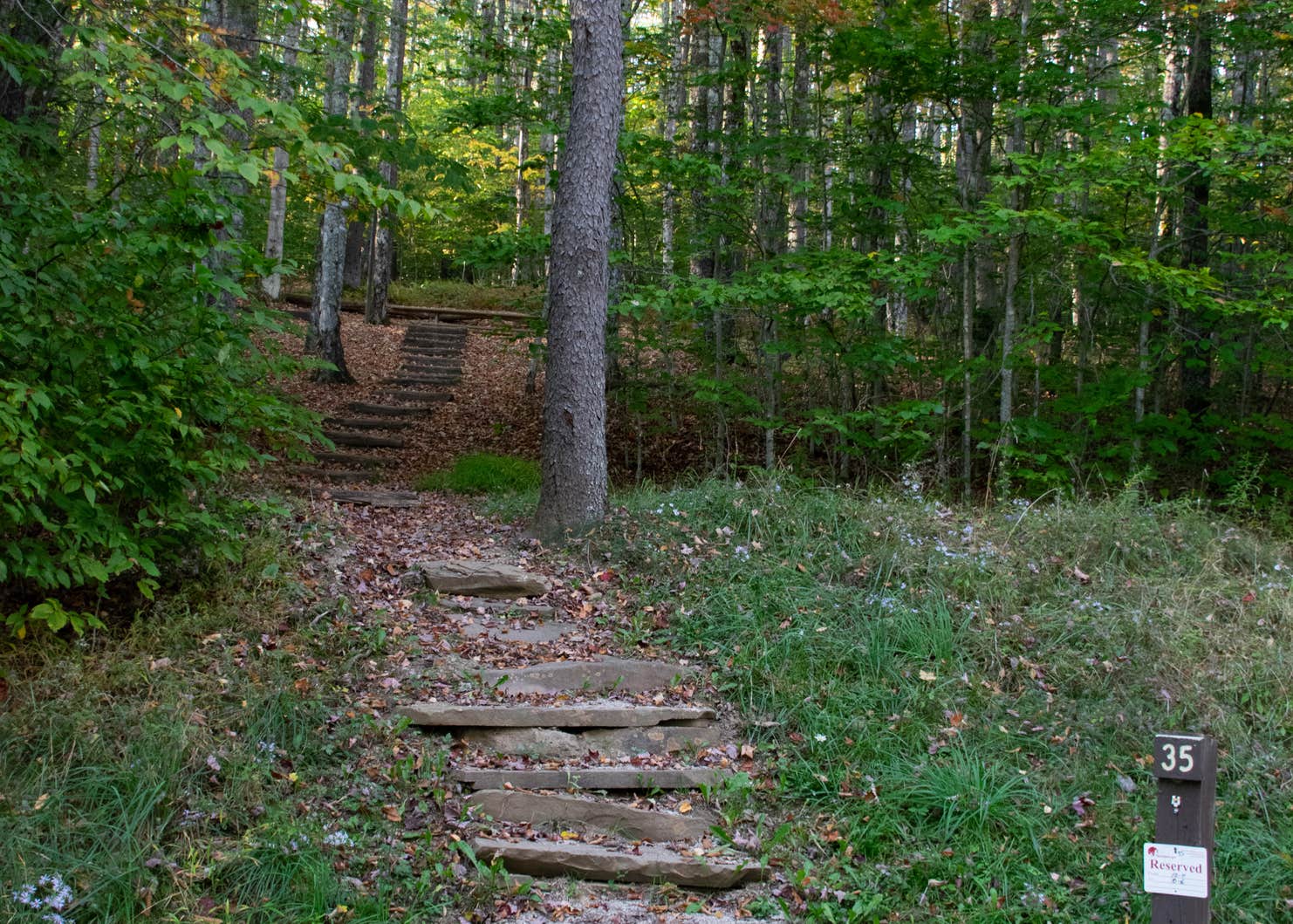 Spruce Knob Lake Campground Camping | The Dyrt