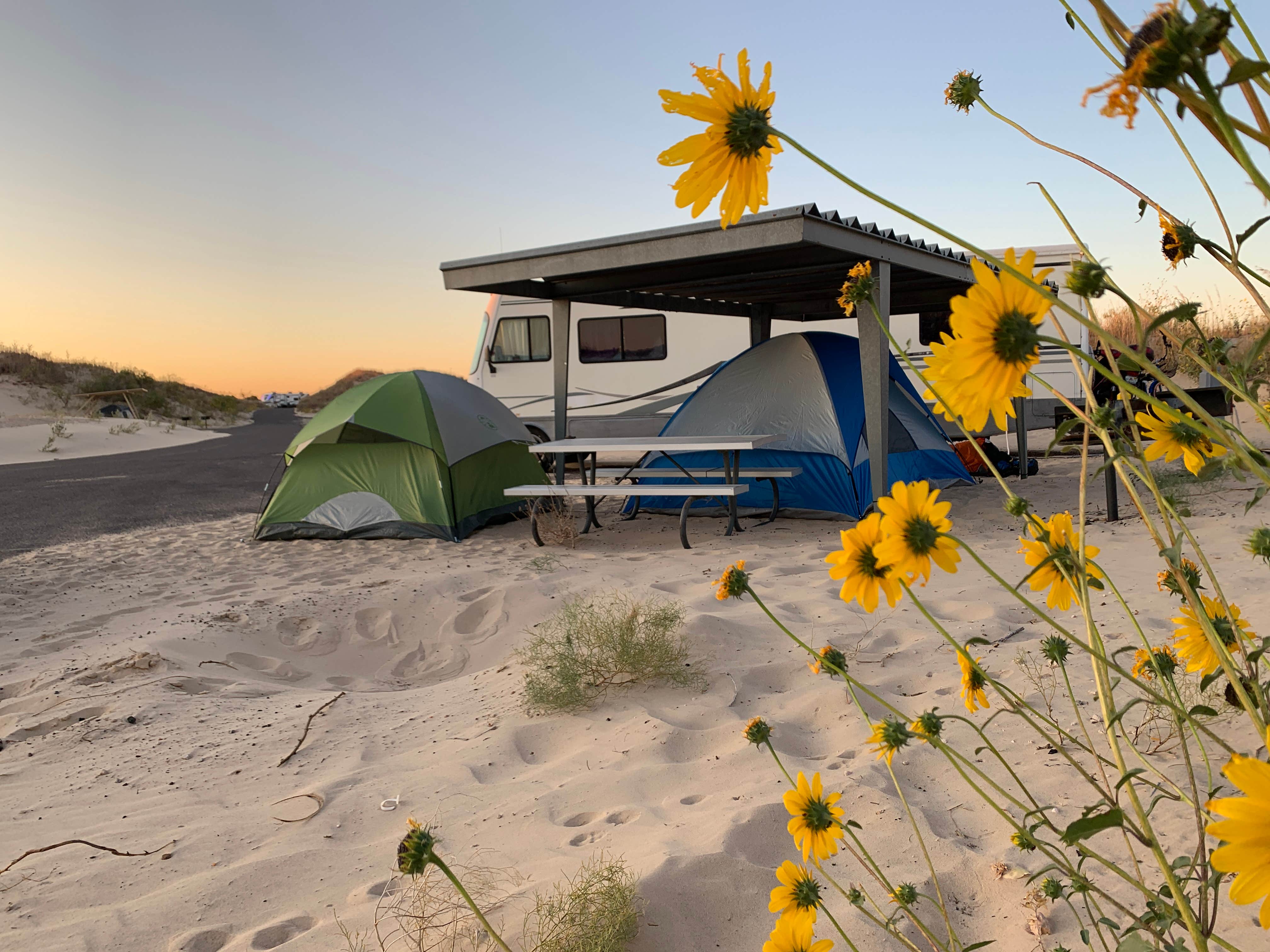 Monahans Sandhills State Park Campground | Monahans, TX