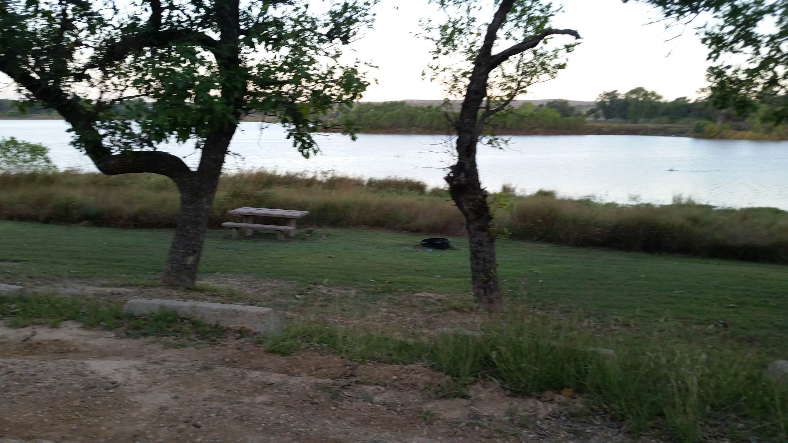 East Bluff #1 Campground - Lake McClellan | The Dyrt