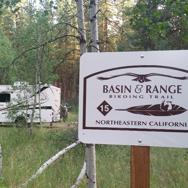 Howards Gulch Campground | Modoc National Forest, California