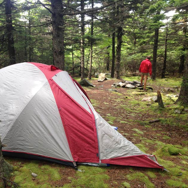 Spruce Knob and Spruce Knob Observation Tower Camping | The Dyrt