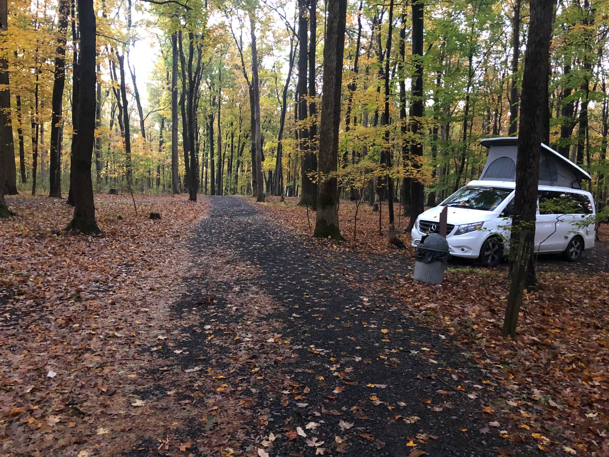 Tohickon Valley County Park Camping | The Dyrt
