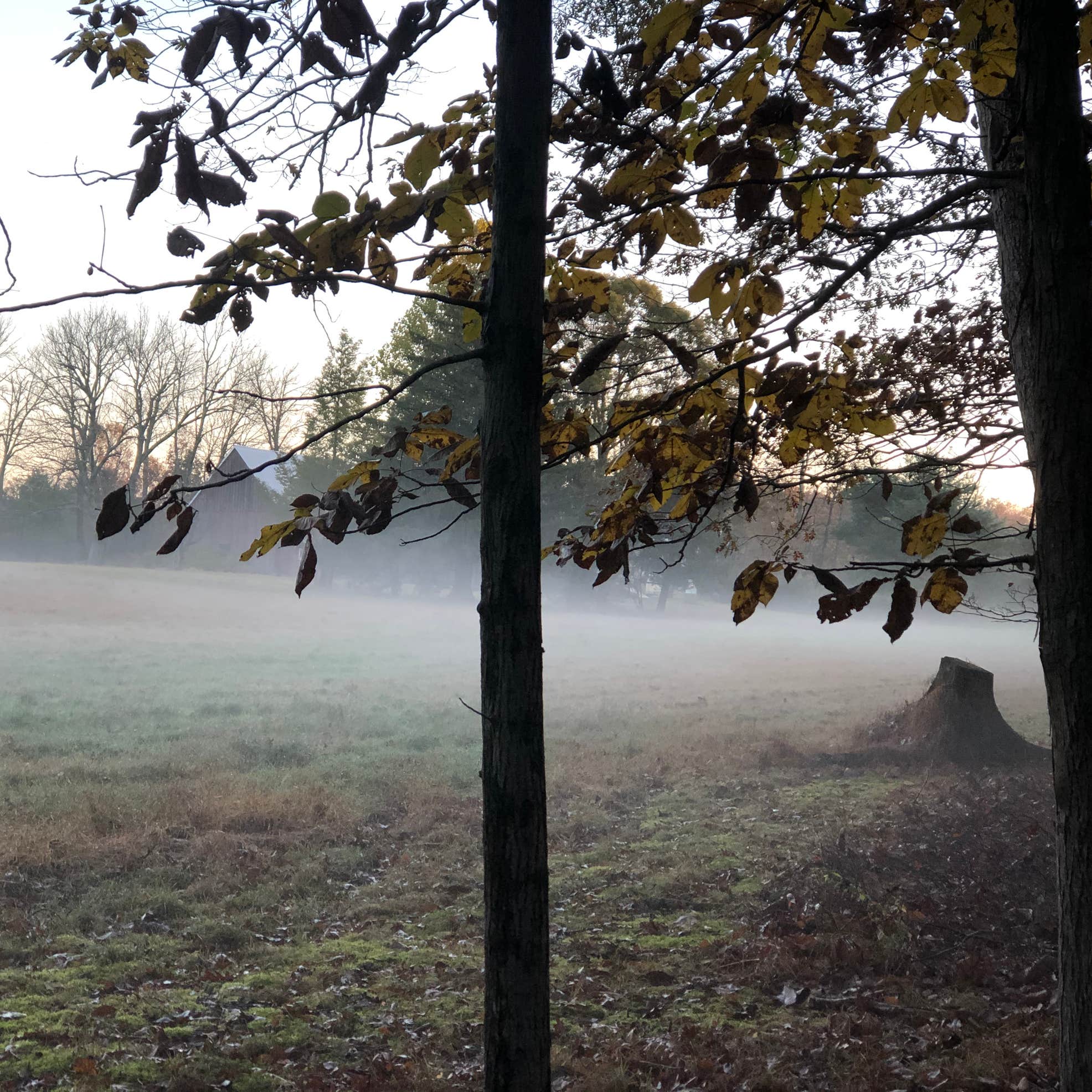 Tohickon Valley County Park Camping | The Dyrt