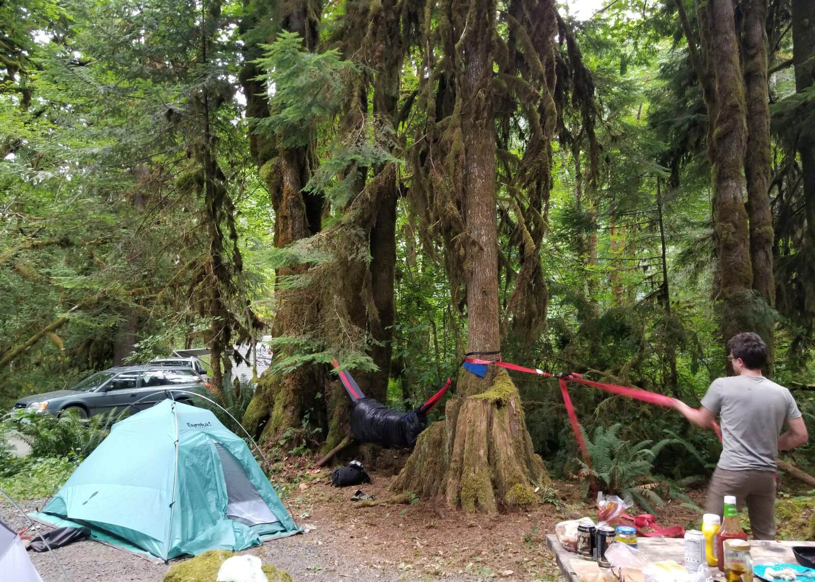 Hamma Hamma Campground Camping | The Dyrt