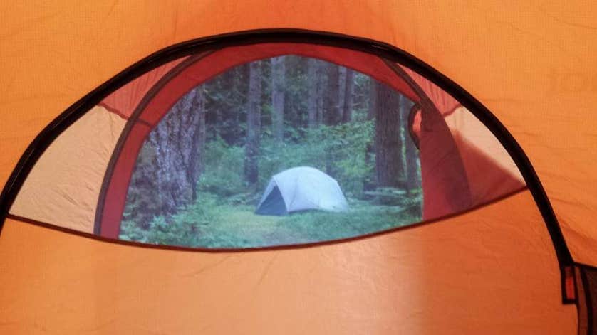 Camp Wilkerson | The Dyrt