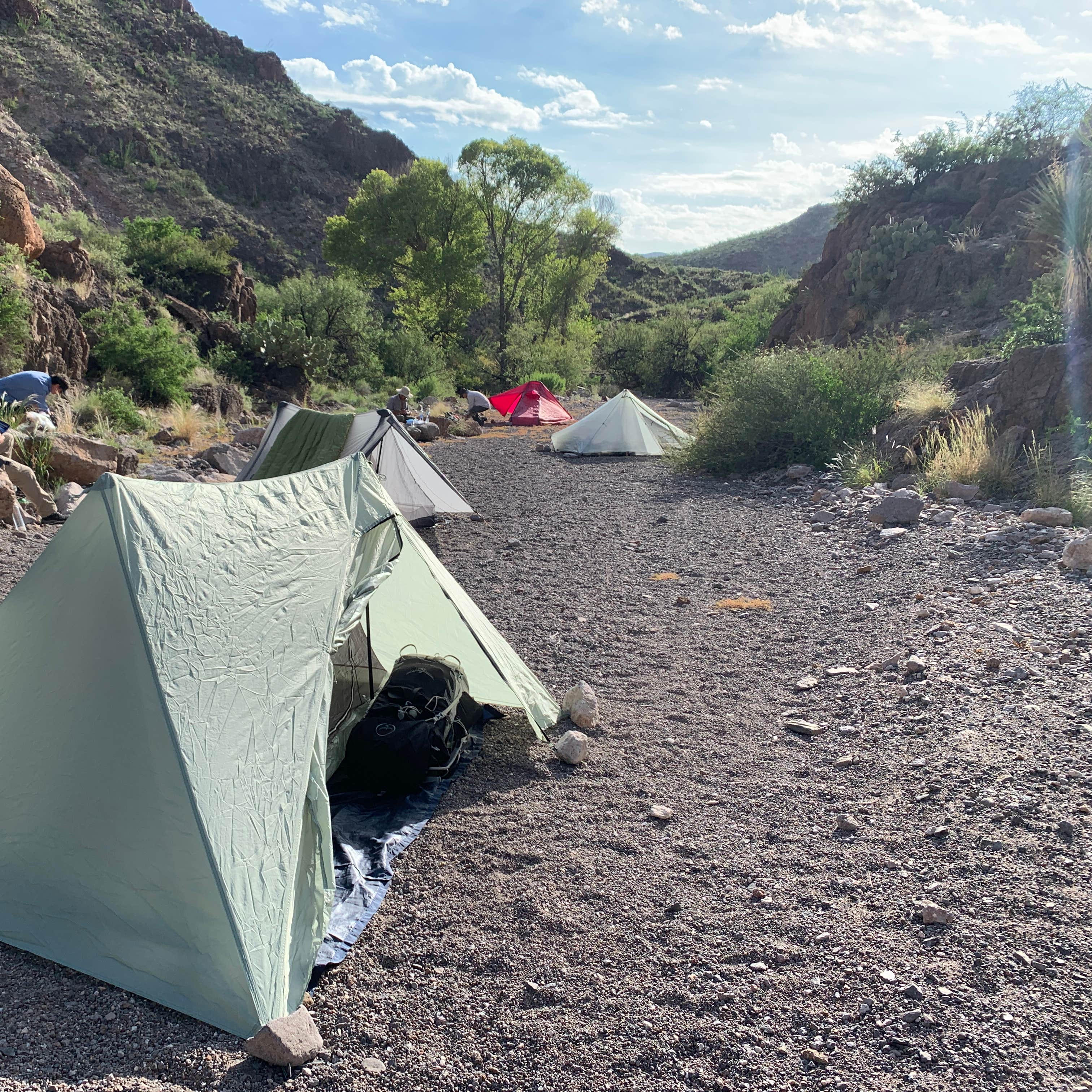 Seep Spring on the Rancherias Loop — Big Bend Ranch State Park Camping ...