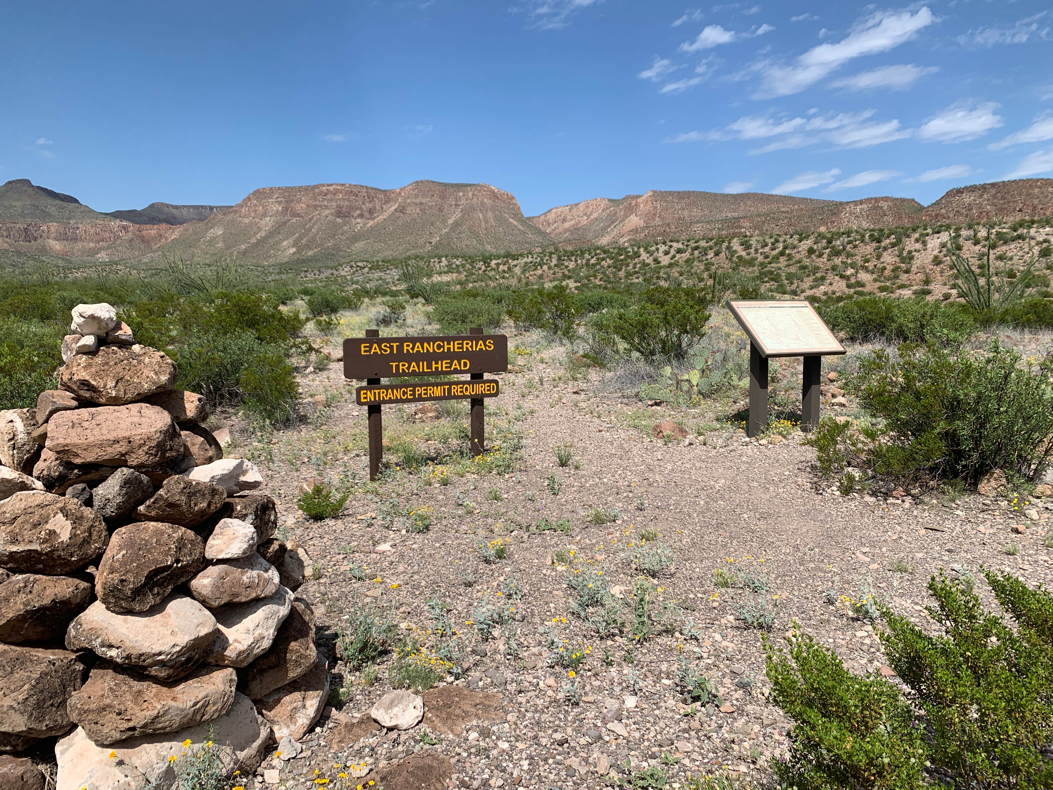 Seep Spring on the Rancherias Loop in Big Ben Ranch State Park | The Dyrt
