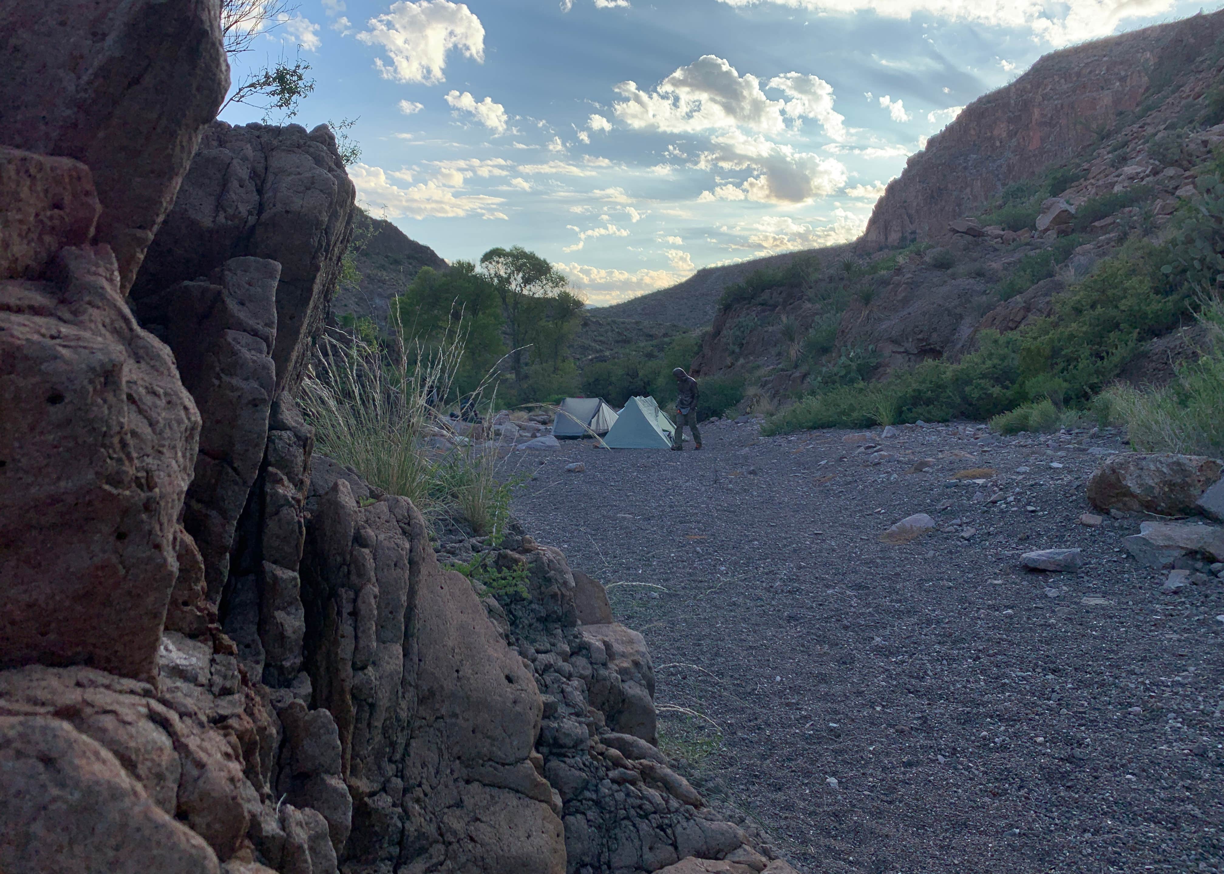 Seep Spring on the Rancherias Loop in Big Ben Ranch State Park Camping ...