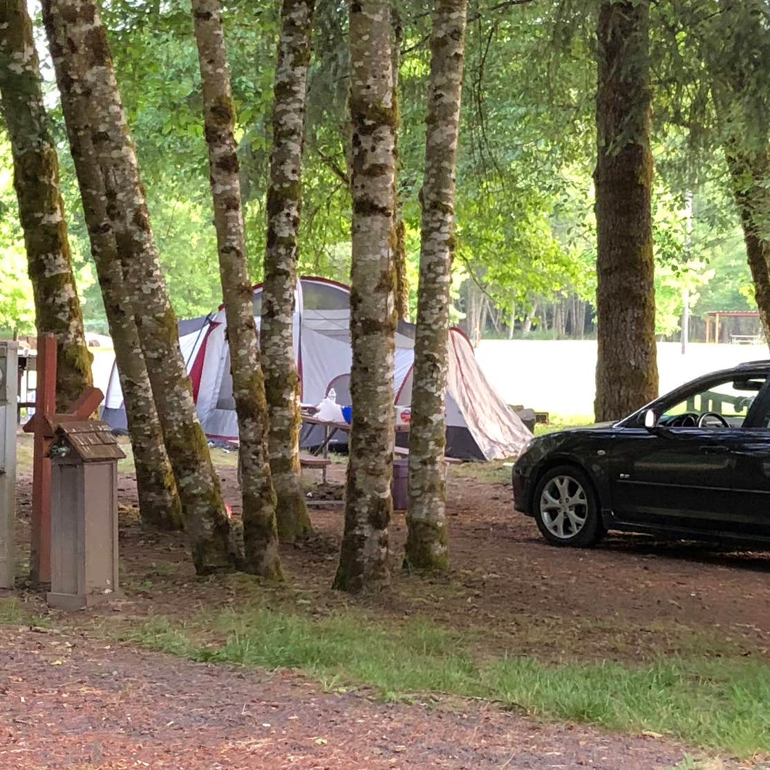 Toutle River RV Resort | Castle Rock, Washington