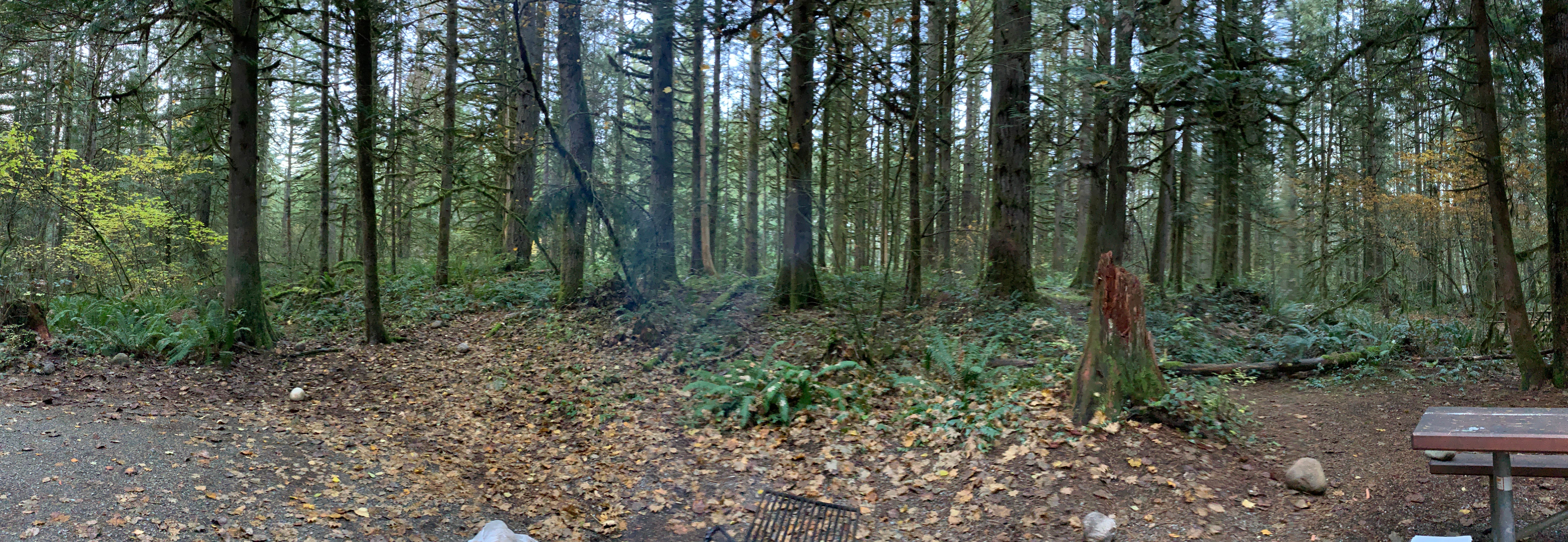 Rasar State Park Campground | Hamilton, Washington