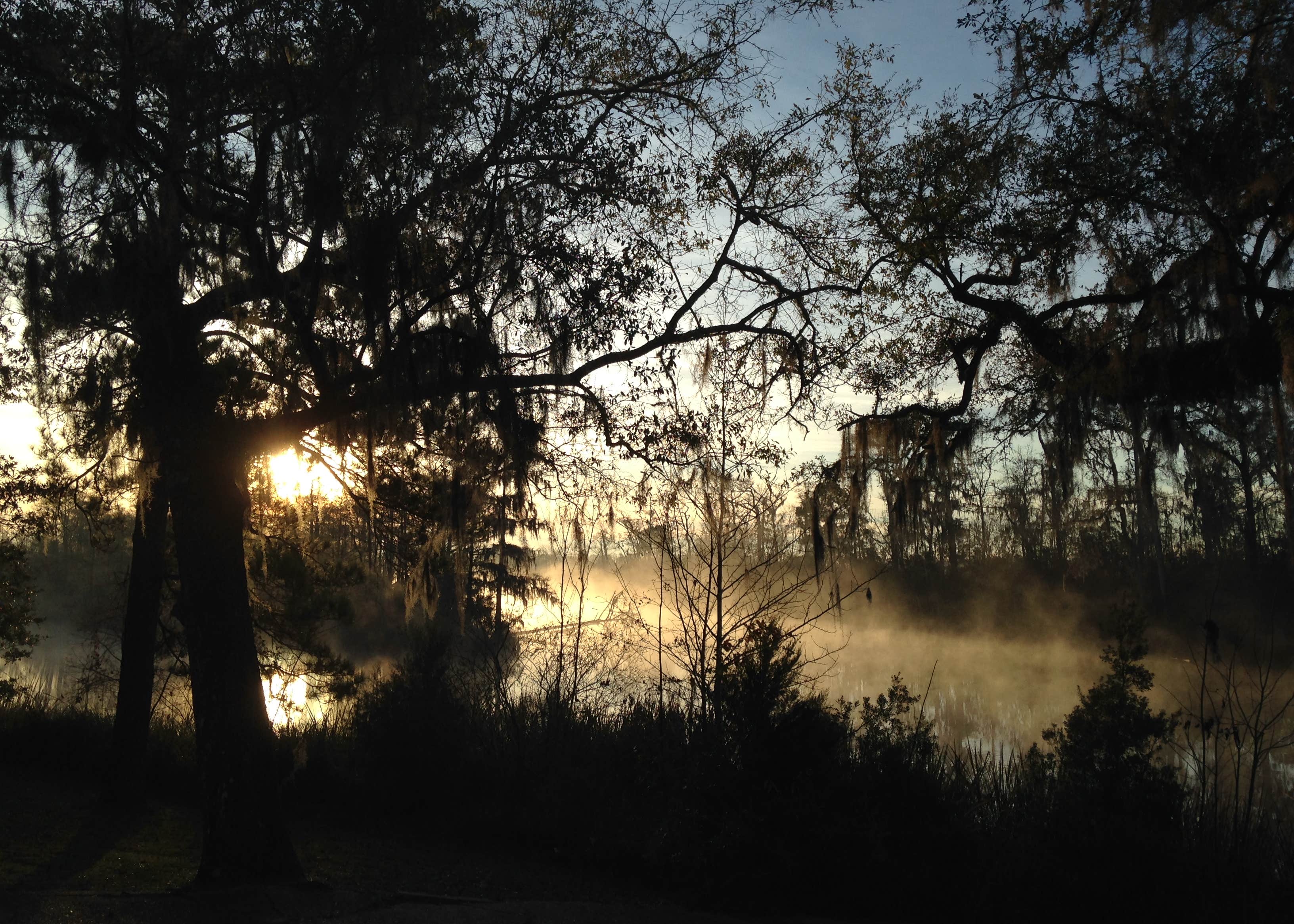 Live Oak Landing Camping | The Dyrt