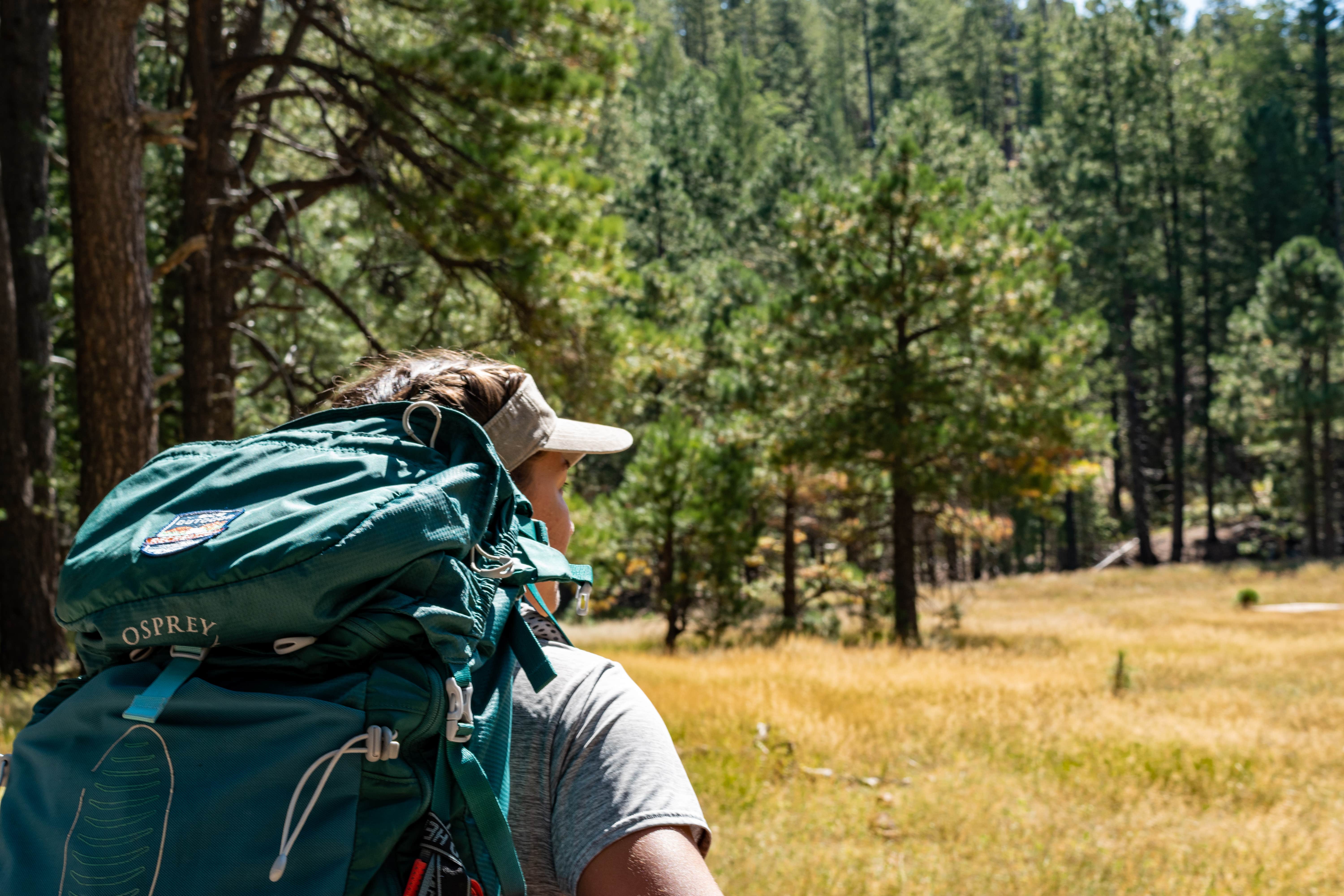 Mogollon Campground | Payson, AZ