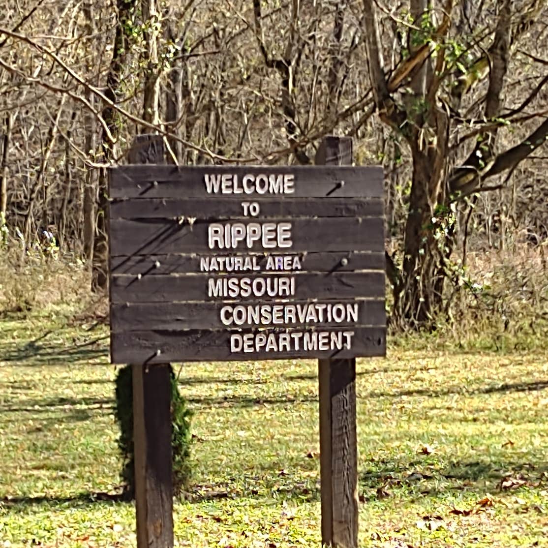 Rippee Conservation Area Camping | Ava, MO