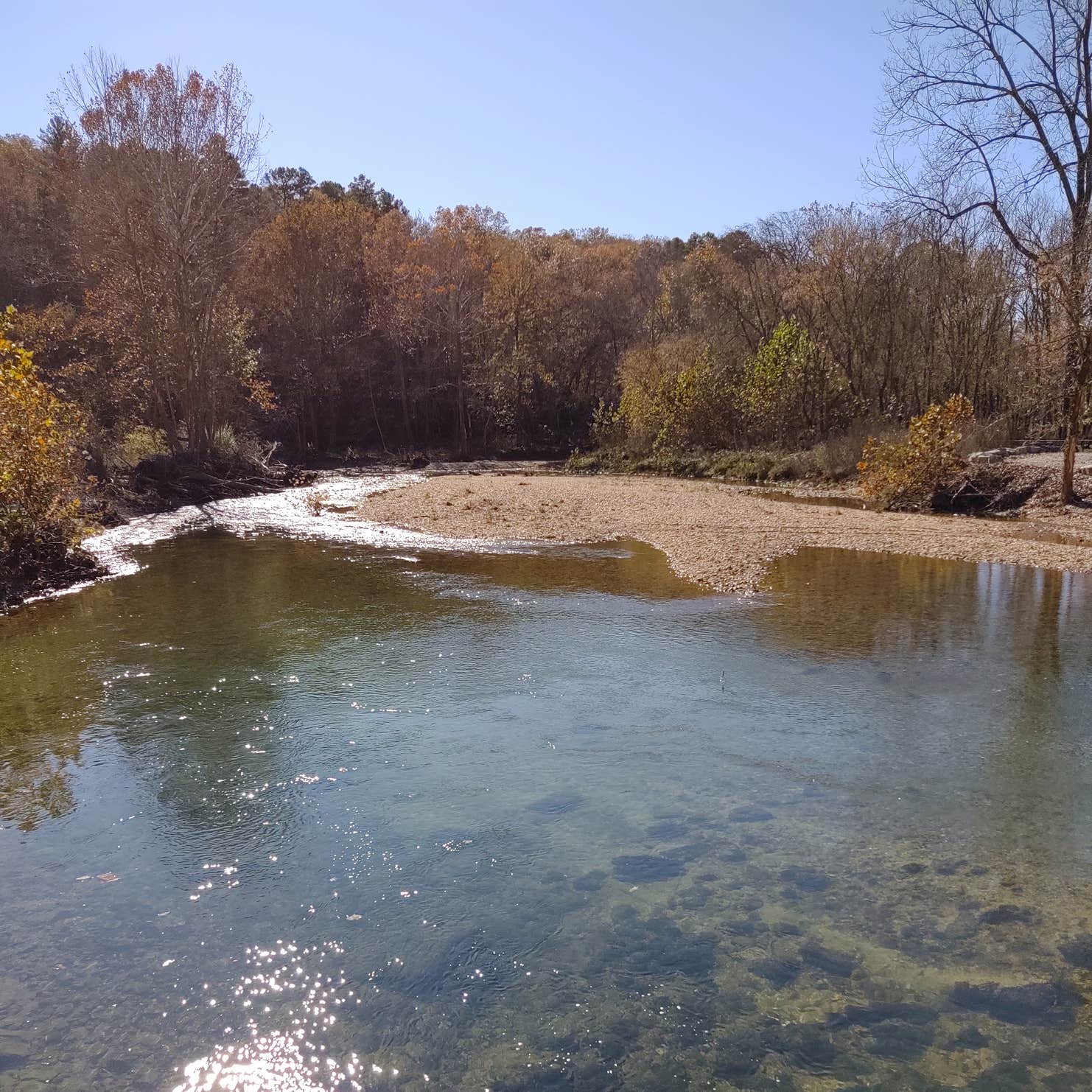 Rippee Conservation Area Camping | Ava, MO