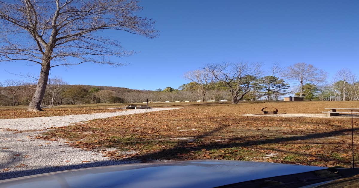 Rippee Conservation Area Camping | Vanzant, Missouri