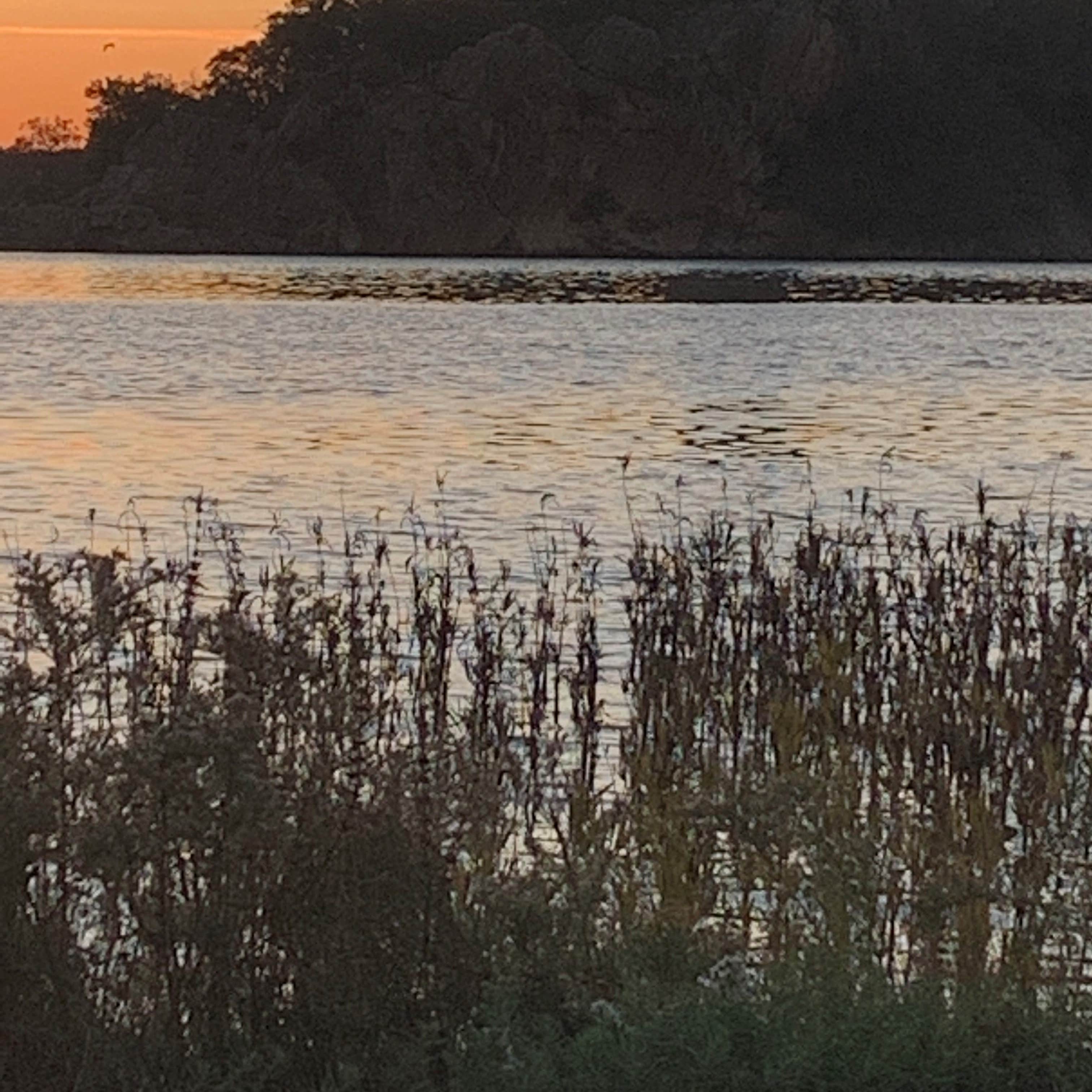 Buzzards Roost — Lake Murray State Park Camping | Ardmore, OK