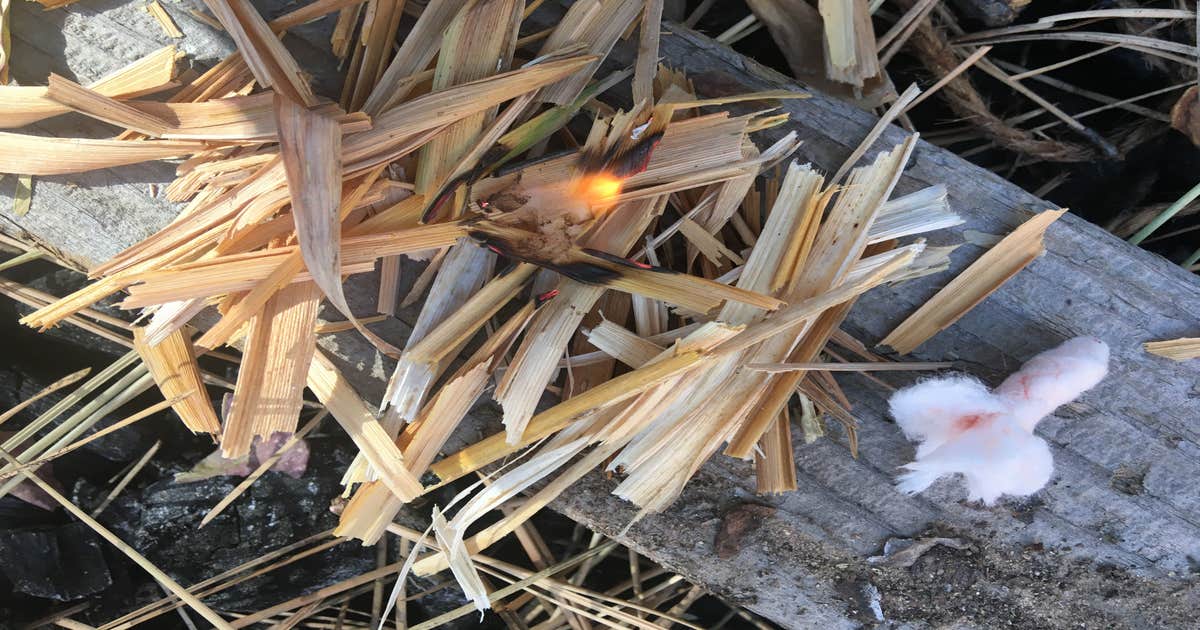 Emerald Lake Camping | Cascade, Colorado