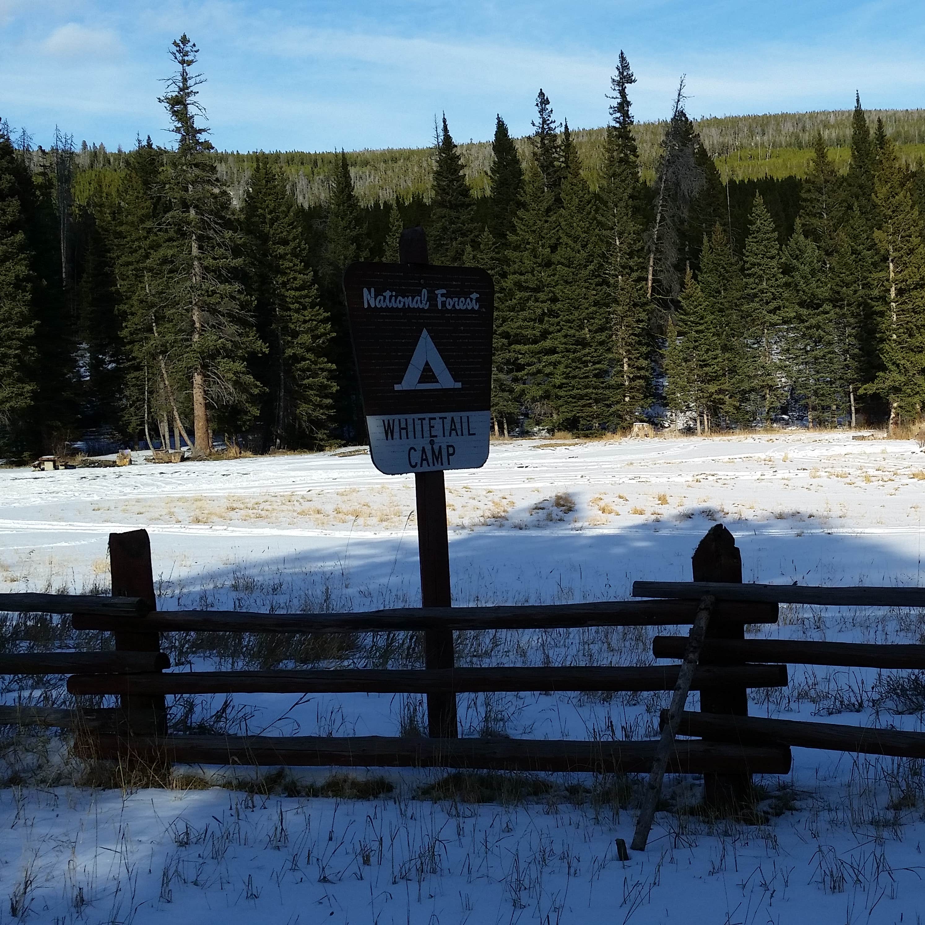 Whitetail Camp Camping | The Dyrt