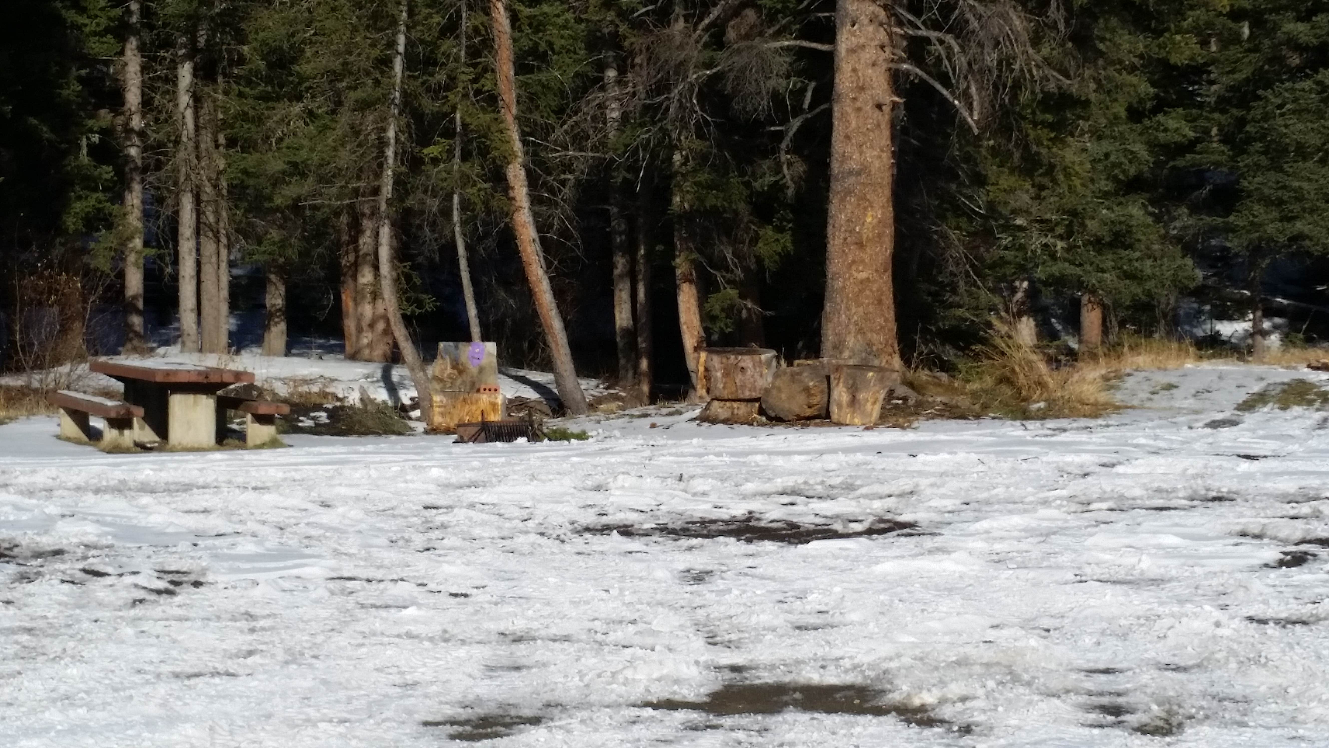 Whitetail Camp | Checkerboard, MT