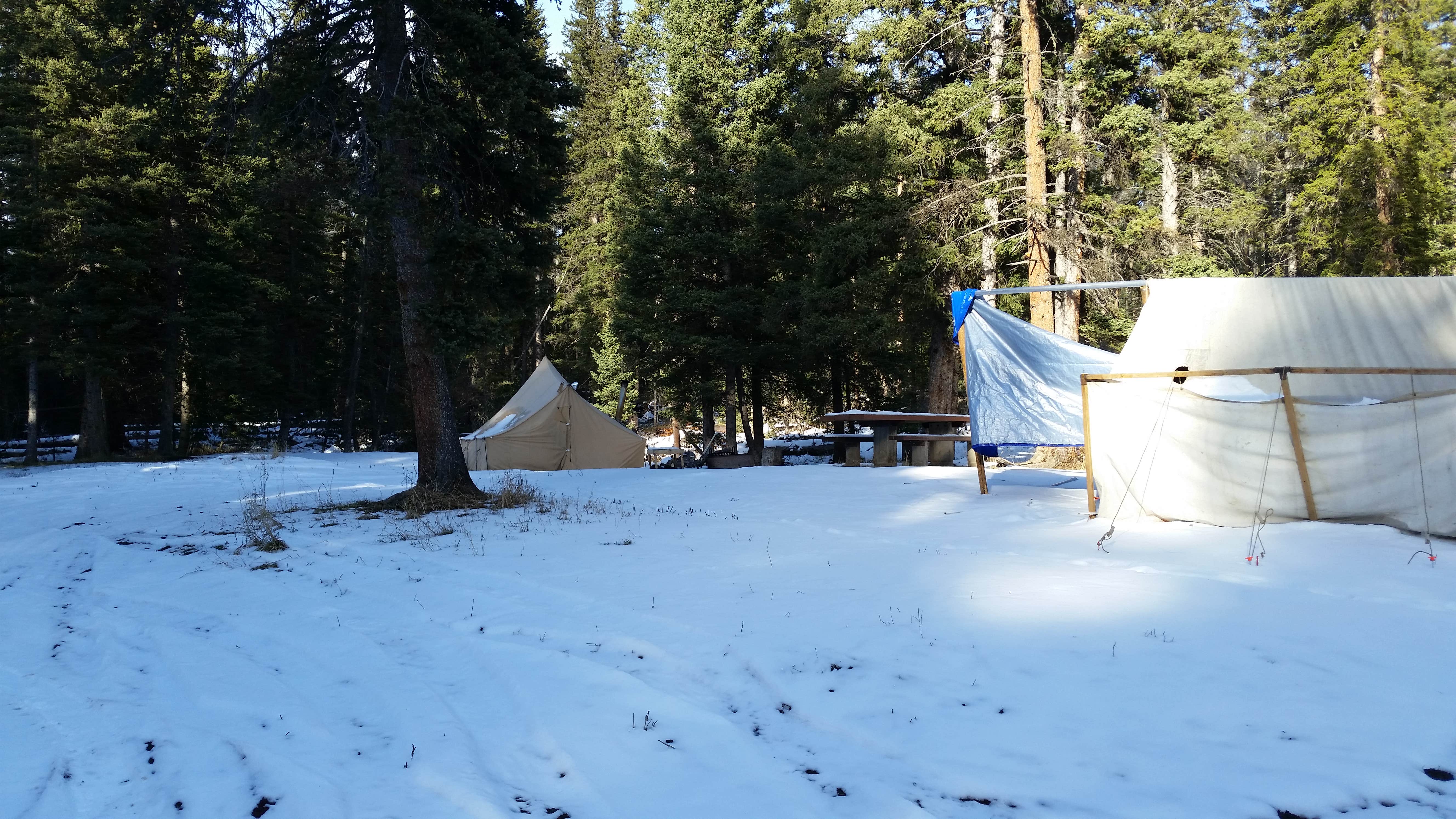 Whitetail Camp | Checkerboard, MT