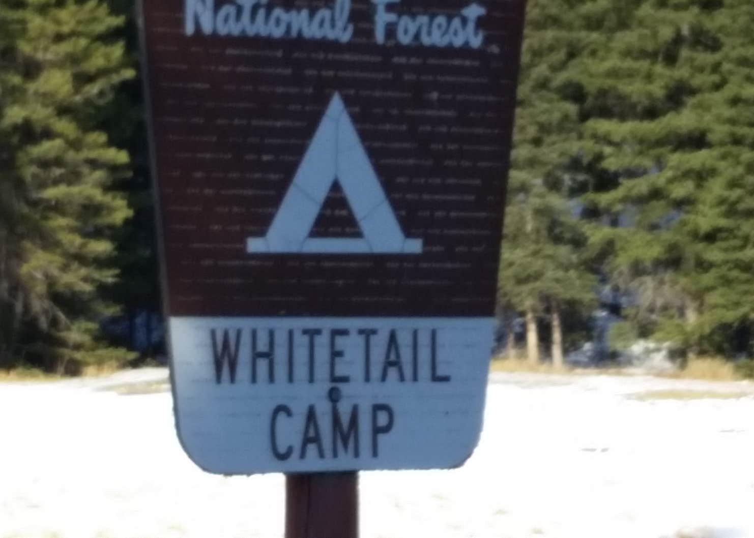 Whitetail Camp Camping | The Dyrt