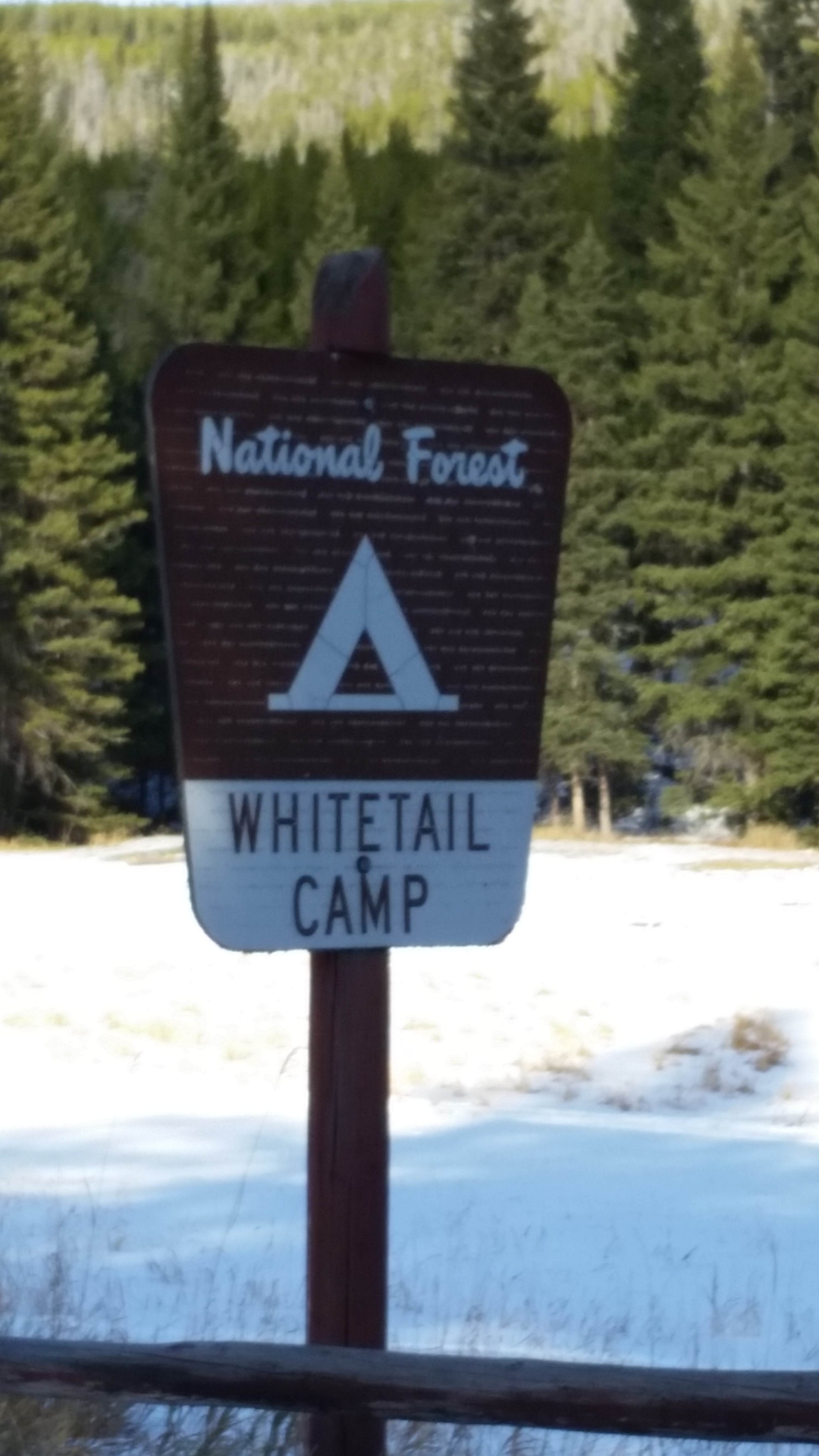 Whitetail Camp | Checkerboard, MT