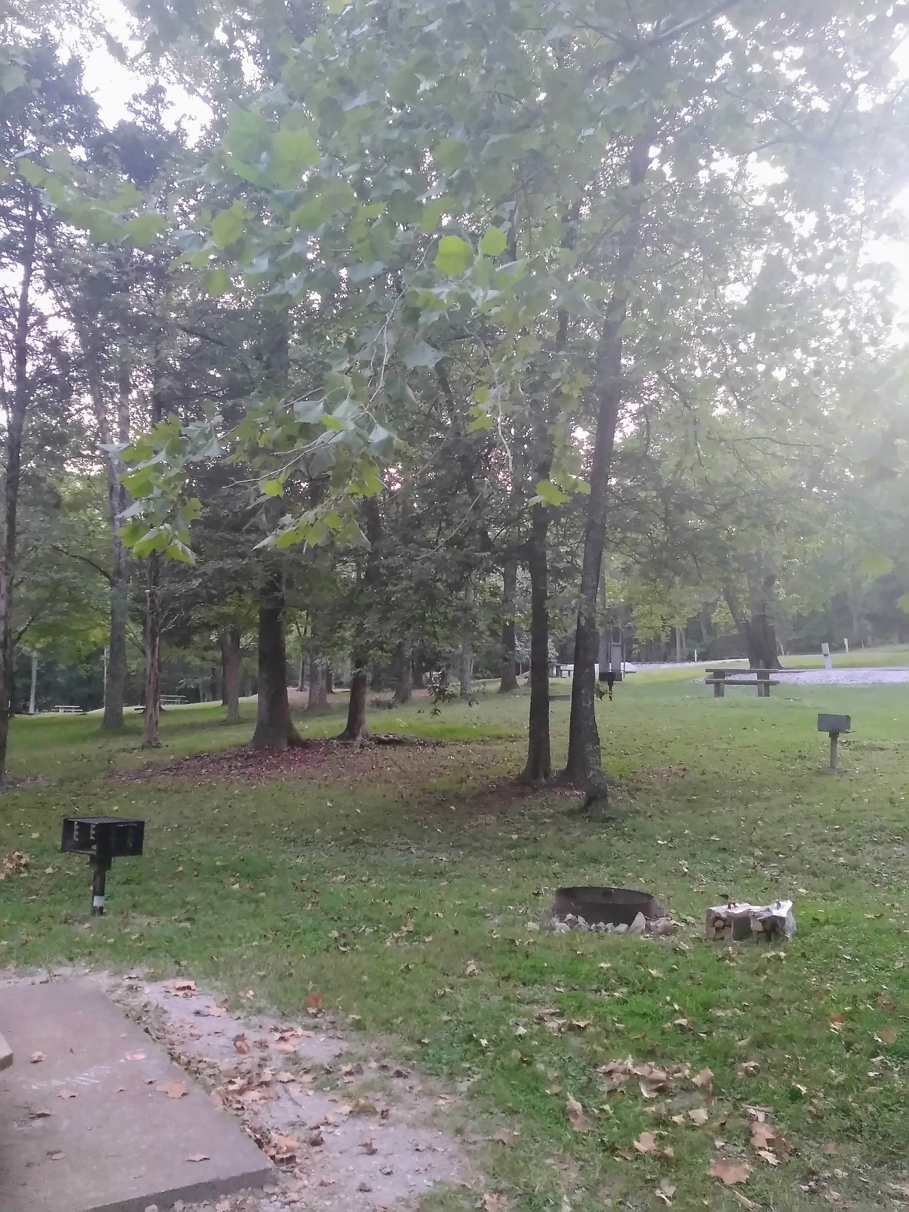 Happy Hollow Campground — Nathan Bedford Forrest State Park | Eva, TN