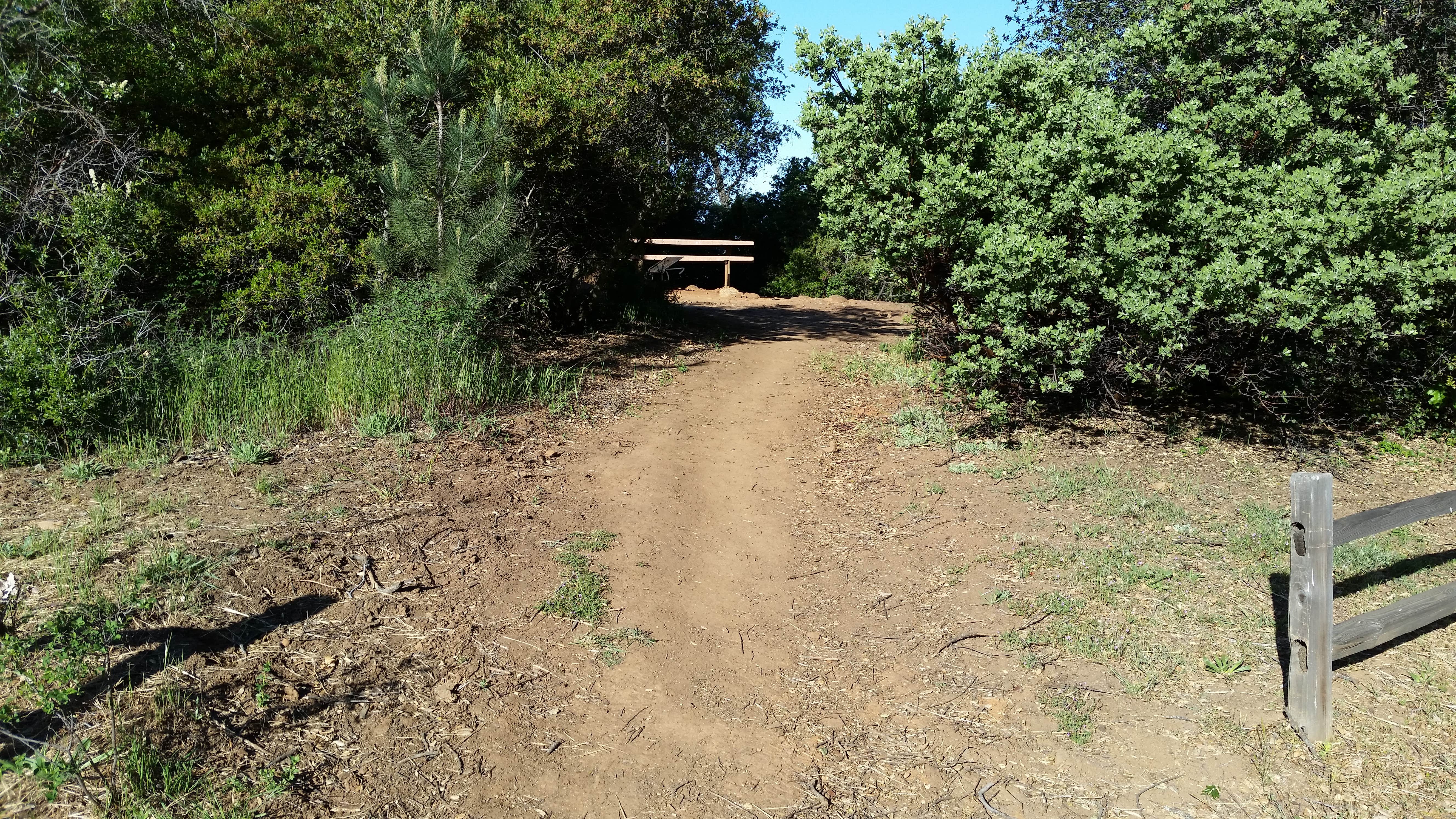 William Heise County Park Camping | Julian, California