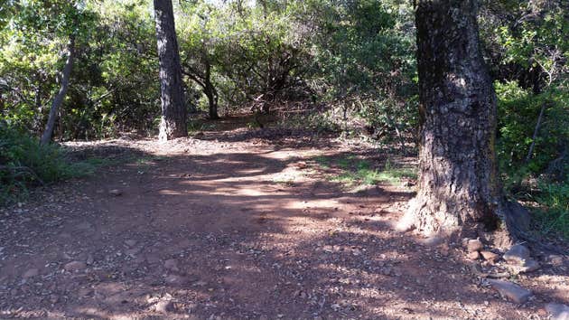 William Heise County Park Camping | The Dyrt