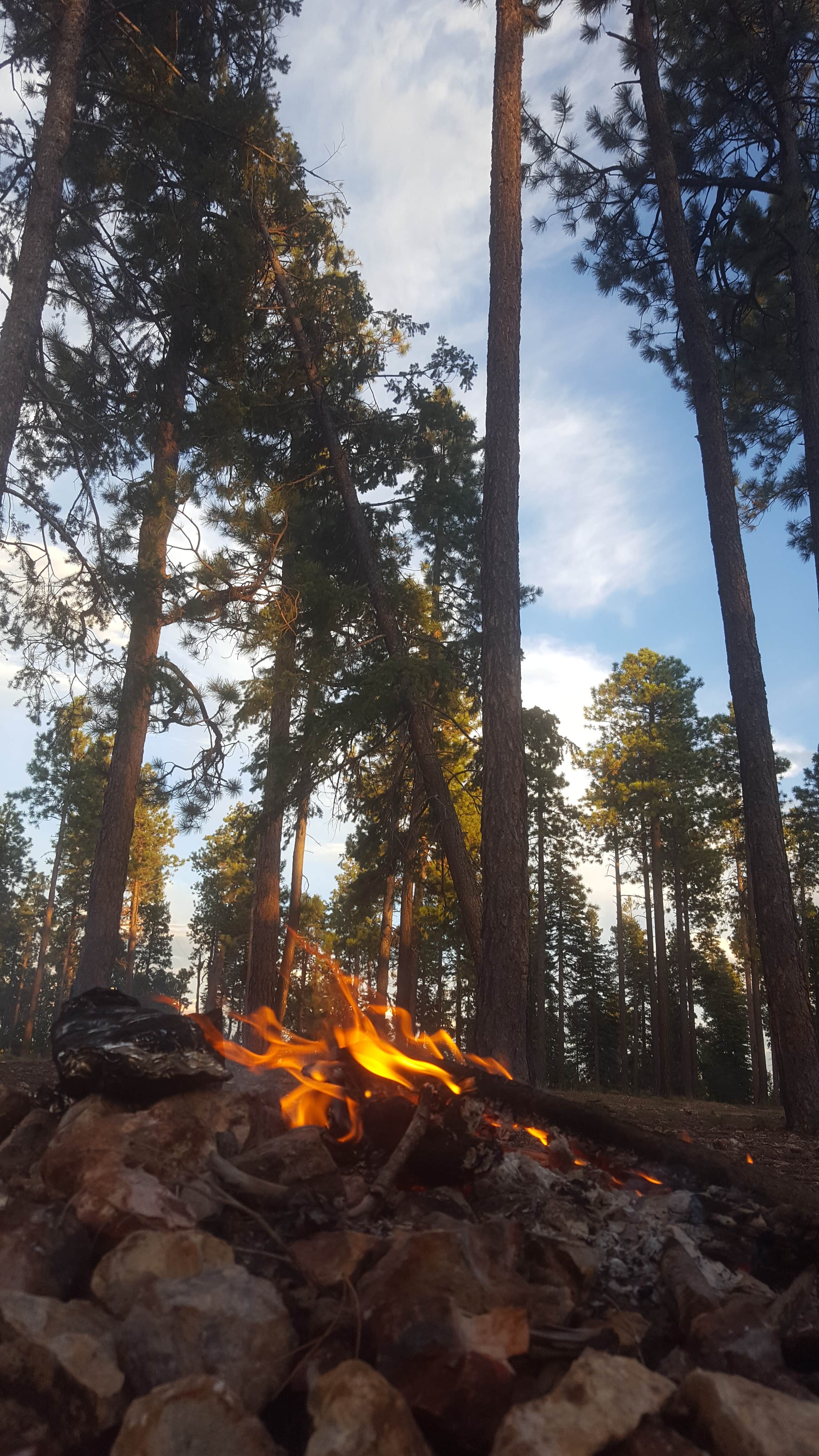 Bear Canyon Lake and Camping Area | The Dyrt