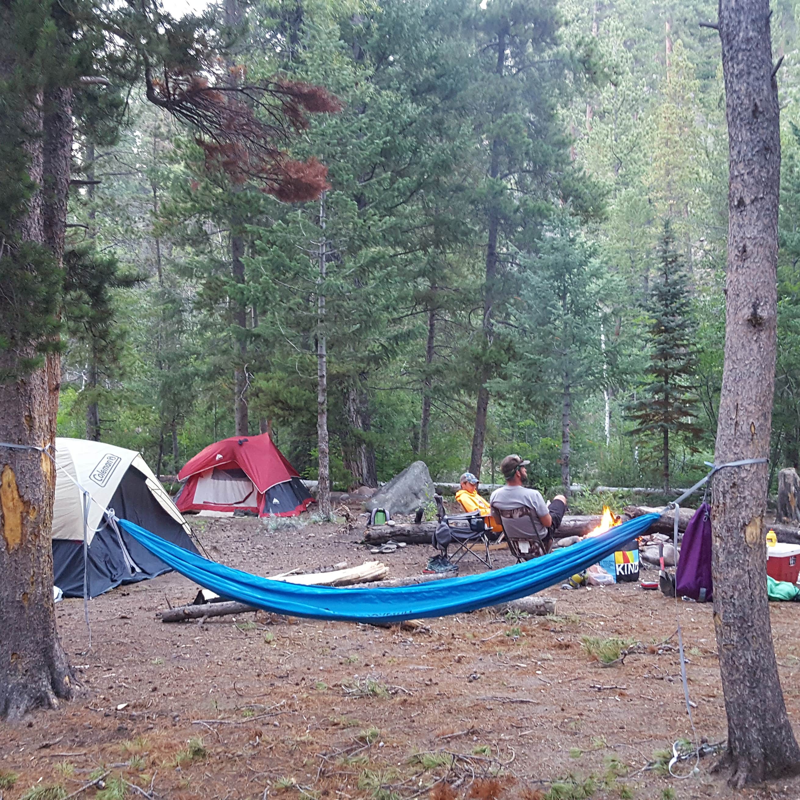 Ceran St. Vrain Trail Dispersed Camping Camping | Bark Ranch, CO | The Dyrt