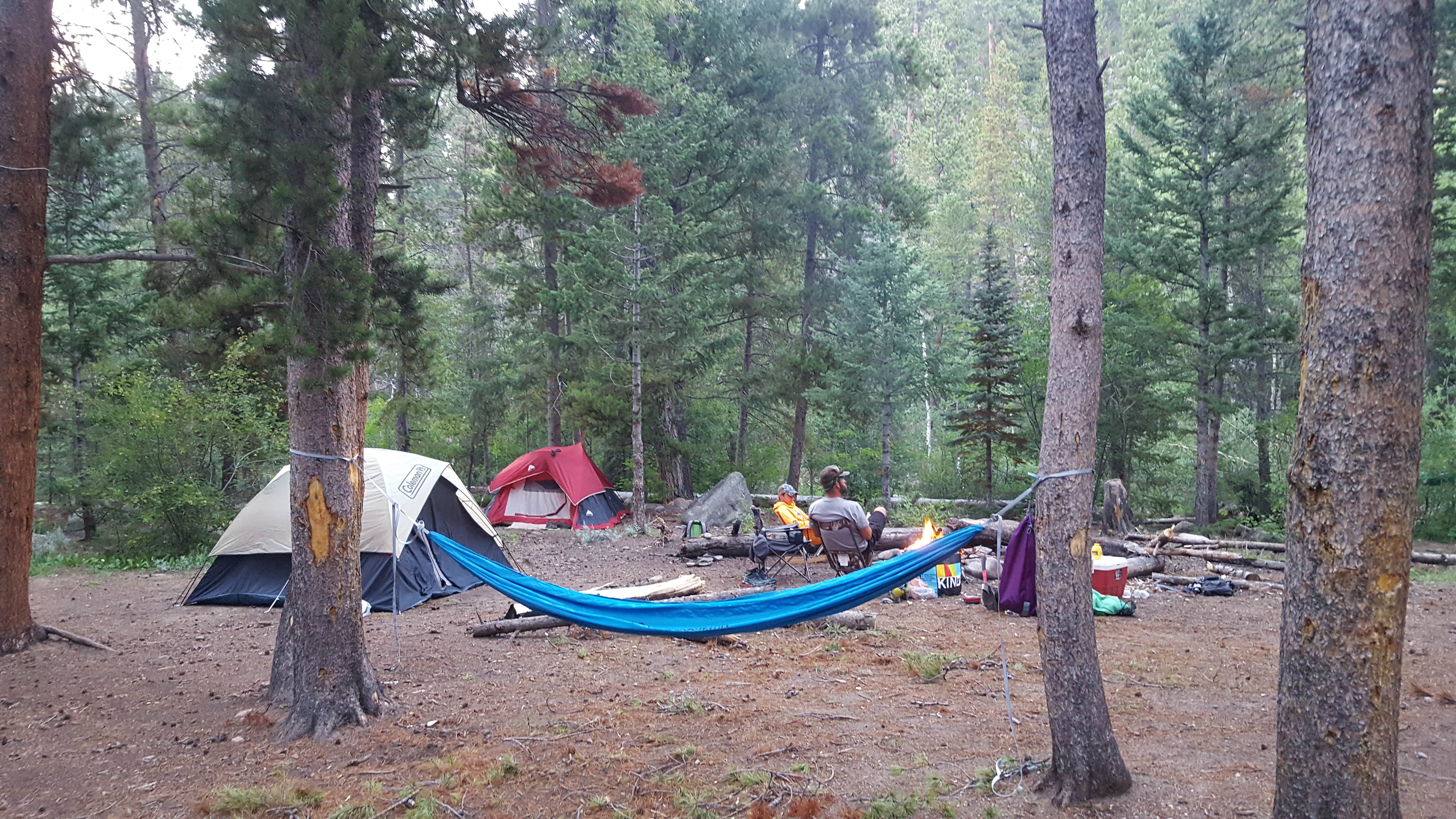 Ceran St. Vrain Trail Dispersed Camping | Jamestown, CO