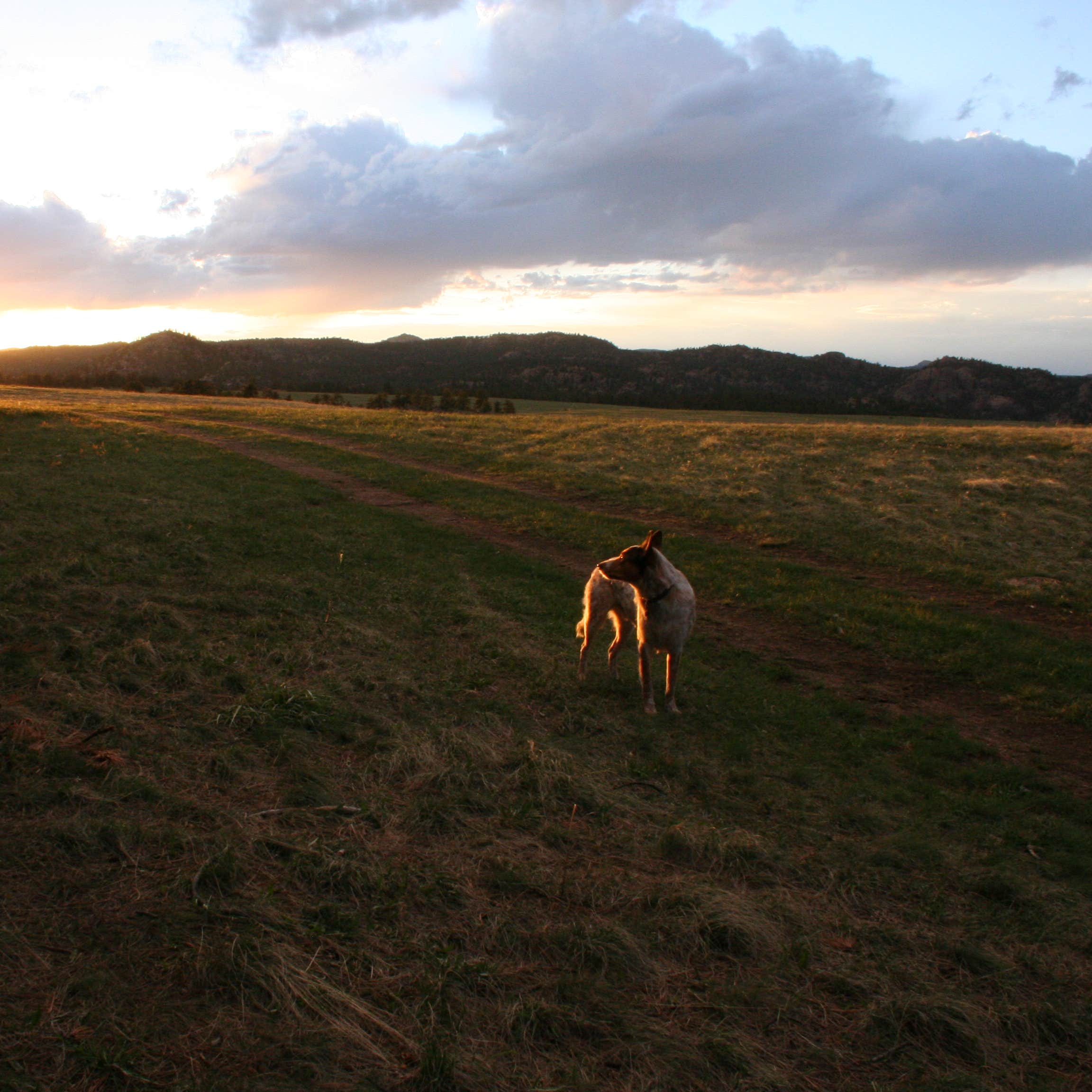 Comanche Peak View Campground | Red Feather Lakes, CO