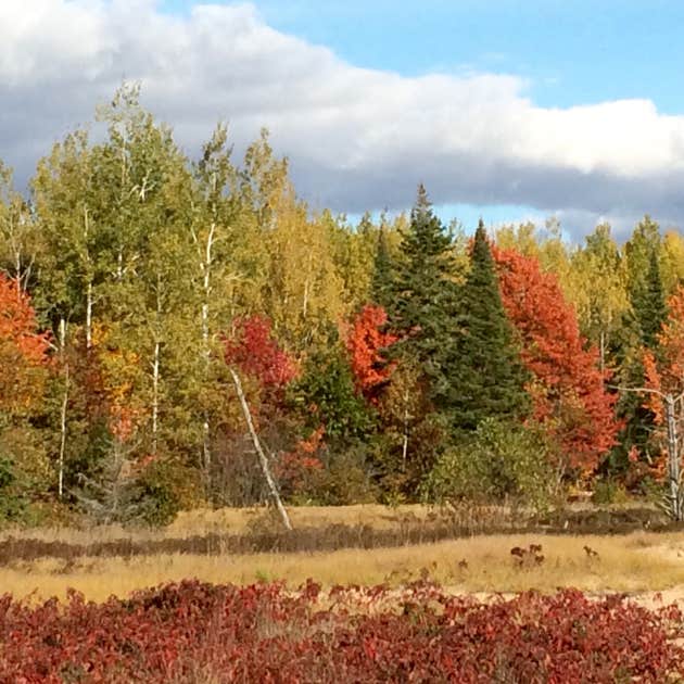 Council Lake Campground | Wetmore, Michigan