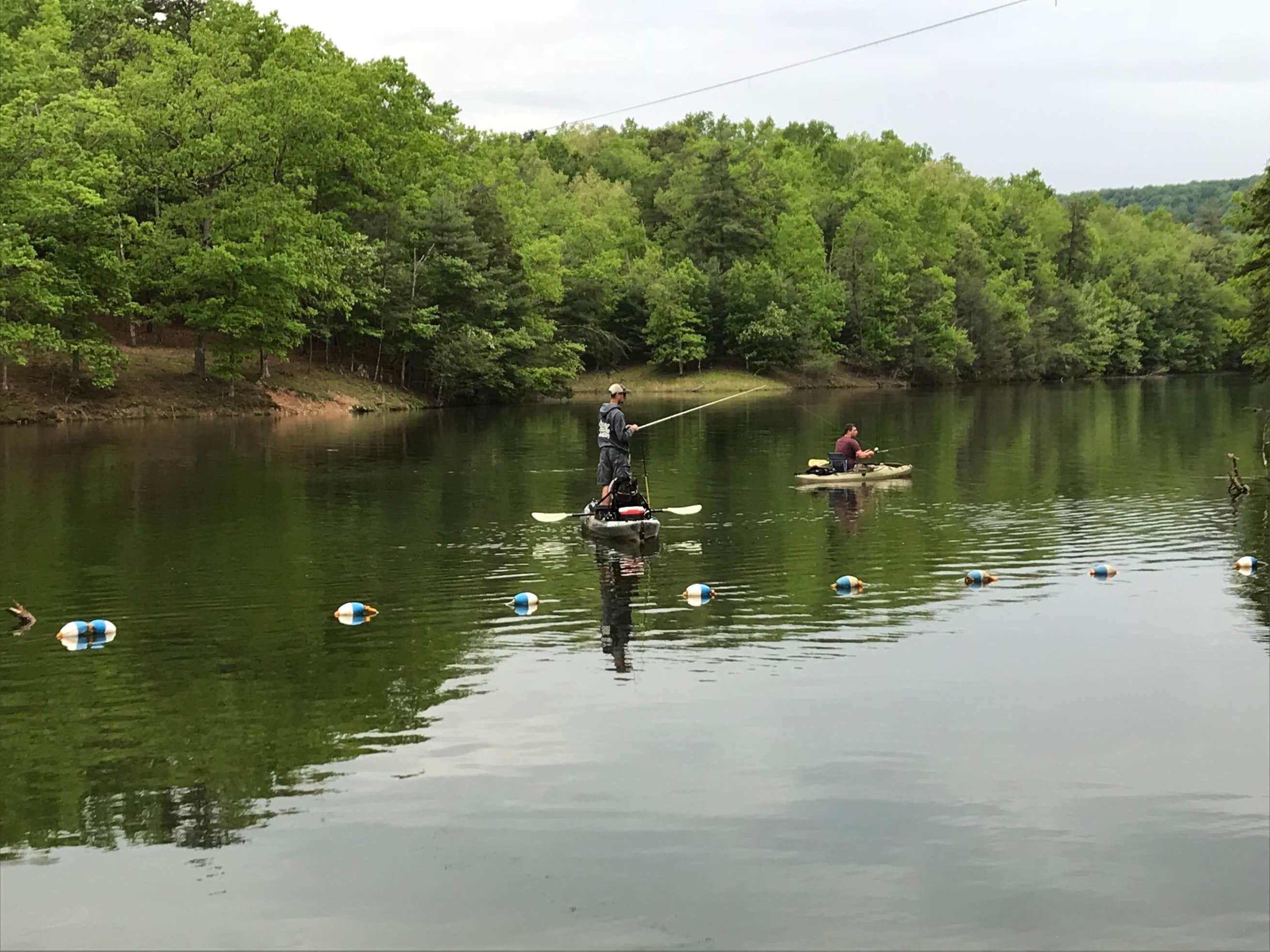 Gatewood Park Camping | The Dyrt