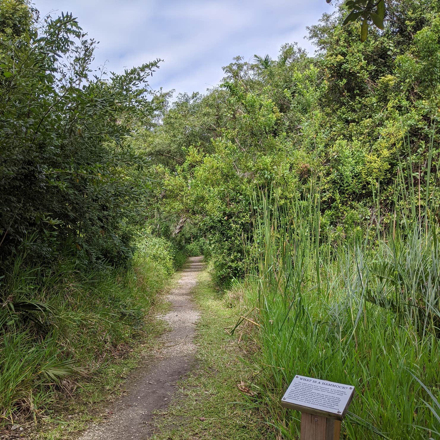 Collier-Seminole State Park Camping | The Dyrt